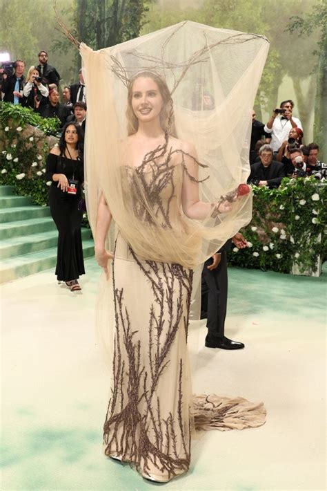 Lana Del Rey Wears Branch And Veil Dress At Met Gala 2024