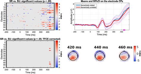 results of mass univariate analysis for the comparison between the