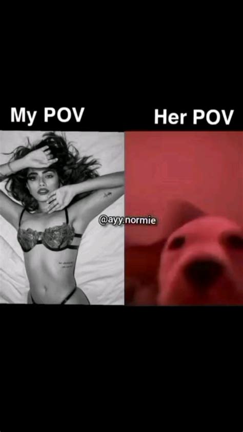 Itna Ganda Dikhta Hai Bhai Tu Sex Karte Waqt Rfingmemes