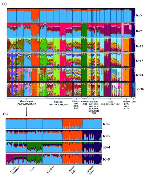 Admixture Plot For All Breeds Analyzed In This Study A In A Global