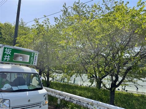 飯能市議選2021【前半】 坂井えつこ公式サイト 飯能グリーンプロジェクト