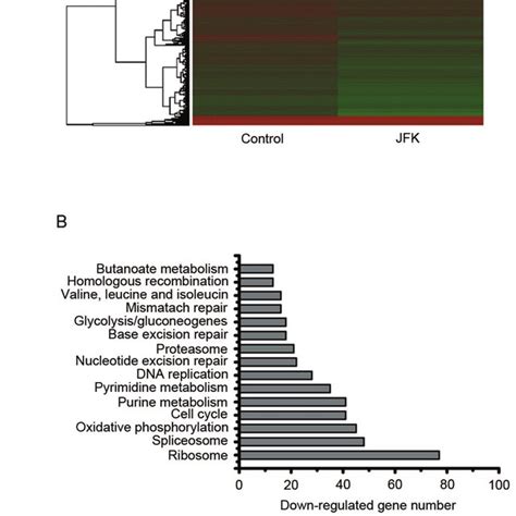 Functional Classification And Pathway Analysis Of Differentially Download Scientific Diagram