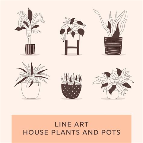 Premium Vector Various Hand Drawn House Plants And Pots