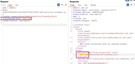 Github Dingyshark Burpsuitecertifiedpractitioner Ultimate Burp Suite
