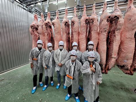 Wagyu Traceability And Quality Assurance — Trex Corp Inc