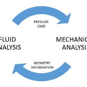 FSI Analysis Procedure Download Scientific Diagram