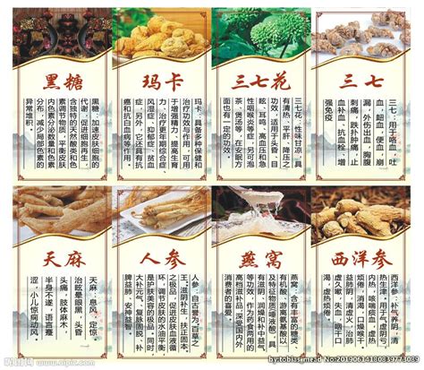 补品海报设计图 广告设计 广告设计 设计图库 昵图网