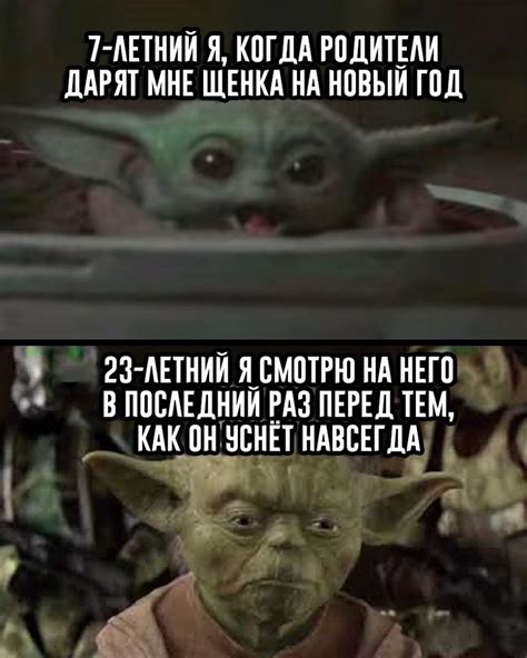 ﻿7 ЛЕТНИЙ Я КОГДА РОДИТЕЛИ ДАРЯТ МНЕ ЩЕНКА НА НОВЫЙ ГОД в 23 ЛЕТНИЙ