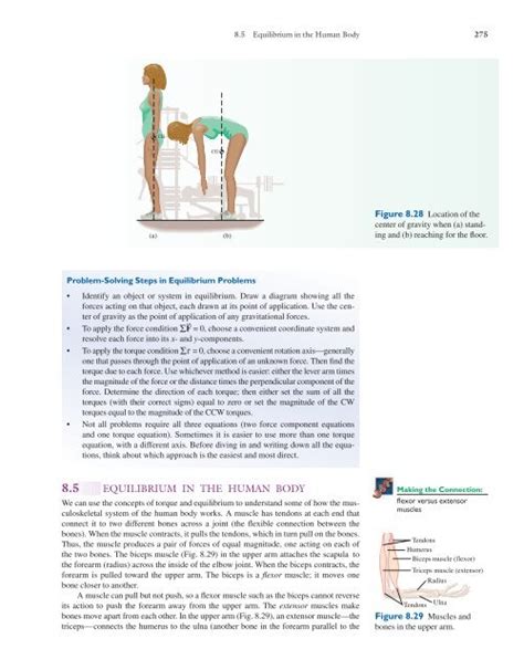 EQUILIBRIUM IN THE HUMAN BODY
