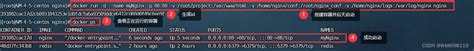 docker上下载安装nginx——解决多端口访问问题 docker下载nginx csdn博客