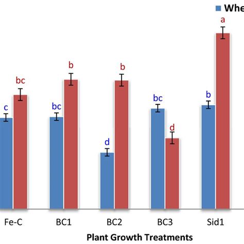 Effect Of Siderophore Producing Bacterial Cultures Bc And Their Download Scientific Diagram