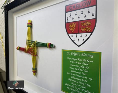 Carlow Retro Gaa Crest Meenavean