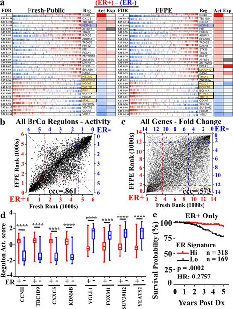 Regulon Validation Of FFPE RNA Seq For Pathway Discovery Reveals KDM4B Download Scientific