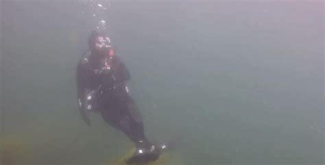 My Dive Partner ThisVid Com