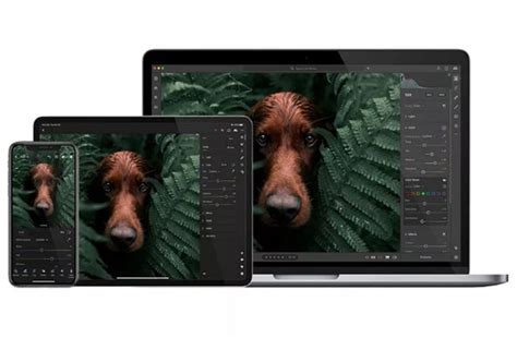 Adobe Lança Versão Arm Para Lightroom Disponível No Windows E Macos Revolução Etc