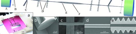 Center Schematic Of The Waveguide Chip Illustrating The Various
