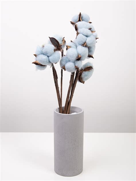 Іксодія рожева з блискітками купити в Україні за низькою ціною • Dfb Elements