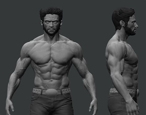 Artstation Wolverine Wip Hugh Jackman Preston Law Body Anatomy