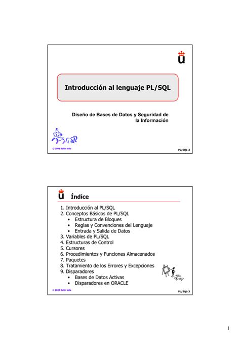 Introducci N Al Lenguaje Pl Sql