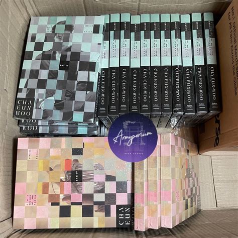 Jual Po Cha Eun Woo Mini Album Entity Shopee Indonesia