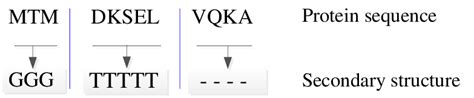 Secondary Structure Segmentation The Protein Sequence Is Segmented By