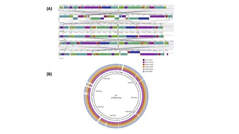 A Multiple Genome Alignment Of The Five Sequenced Poultry Strains And