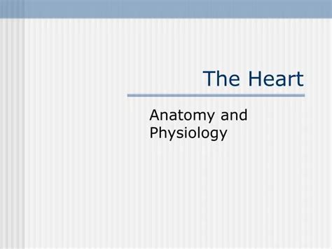 Ppt The Heart Powerpoint Presentation Free Download Id7068172