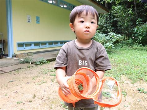 秋の虫がたくさん9月10日土11日日の昆虫館 佐用町昆虫館オフィシャルブログ