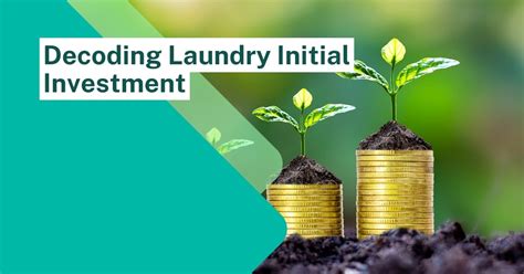 Laundry Franchise Investment Uncovering True Initial Cost