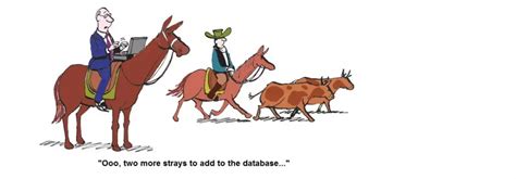 harnessing big data for better engineering outcomes