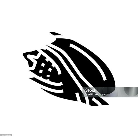 볼루트 바다 껍질 해변 글리프 아이콘 벡터 일러스트 레이 션 가리비에 대한 스톡 벡터 아트 및 기타 이미지 가리비 검은색