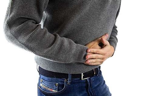 Epididymal Hypertension Wikiwand
