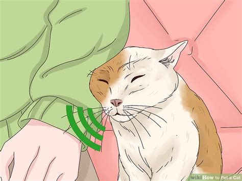 How To Pet A Cat 15 Steps With Pictures Wikihow