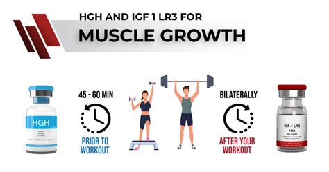 Hgh Igf 1 Lr3 Stack Dosages Side Effects