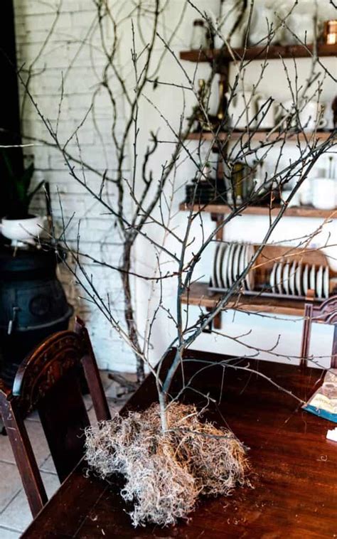 DIY Halloween Twig Tree Capturing Wonderland