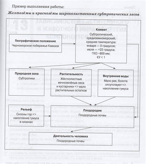 Практические работы по географии для 8 класса