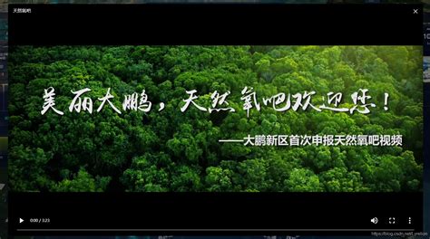 vue3 组件示例工程（三） —— 视频组件 vue3 标签展示mp4视频缩略图 csdn博客
