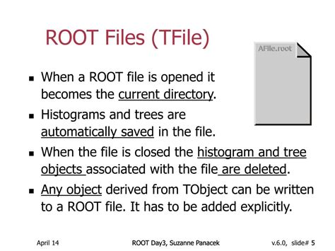 PPT ROOT PowerPoint Presentation Free Download ID 751705