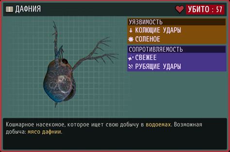 Steam Community :: Guide :: Все карты существ