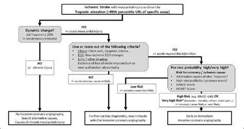 Proposed Workflow In Patients With Ischemic Stroke And Elevated Cardiac Download Scientific