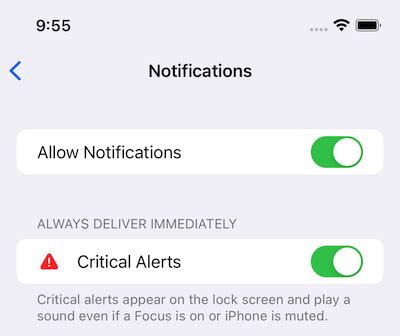 Using Critical Alerts In IOS Applications Igor Kulman