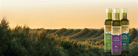 Cobram Estate Olives Limited | LinkedIn