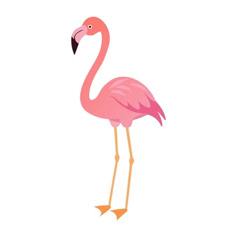 Premium Vector Pink Flamingo On White Background Vector 18