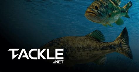 Tackle Warehouse Logo Performance Hoodie Silver By Tackle Warehouse