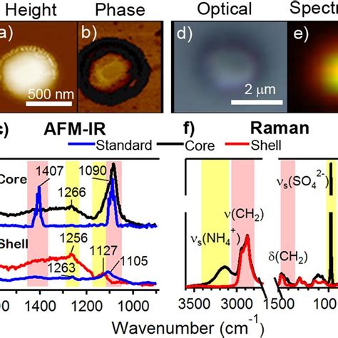 PDF Atomic Force Microscopy Infrared Spectroscopy Of Individual