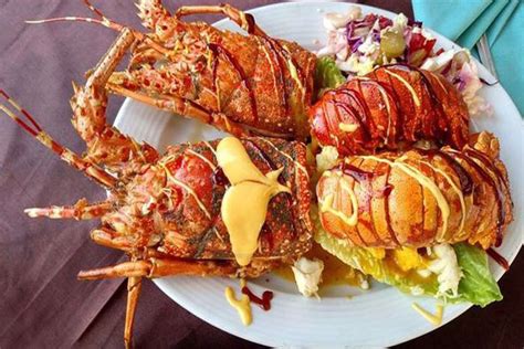 معرفی بهترین غذاهای دریایی اسنپ مارکت