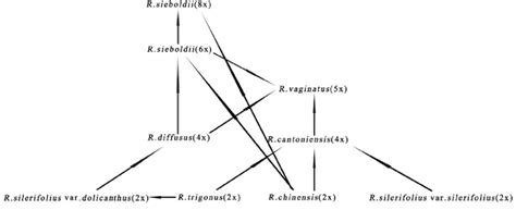 Reticulate Evolution Of The R Cantoniensis Polyploid Complex Download Scientific Diagram