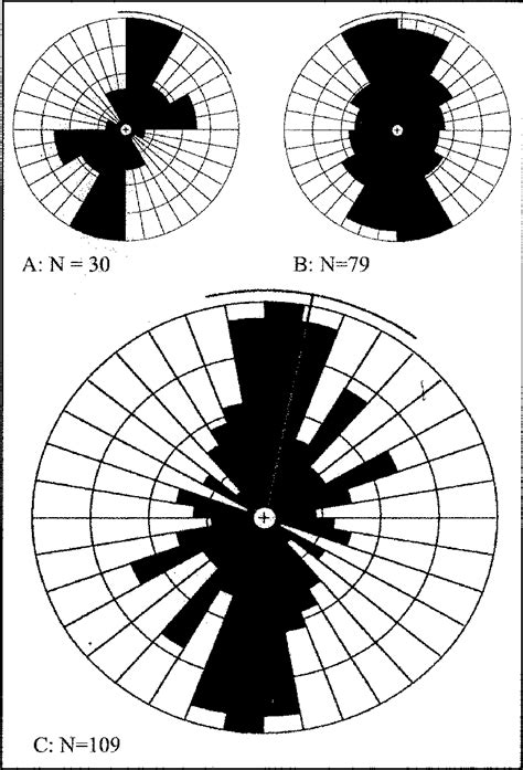 Rose Diagrams Indicating Paleocurrent Directions As Measured On Bone