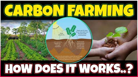 What Is Carbon Farming Why Is Carbon Farming Important Youtube
