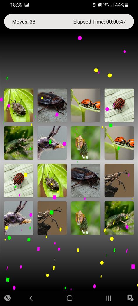 GitHub Spoelt BugMemory BugMemory Is A Memory Game That Lets Users Eliminate Bugs By